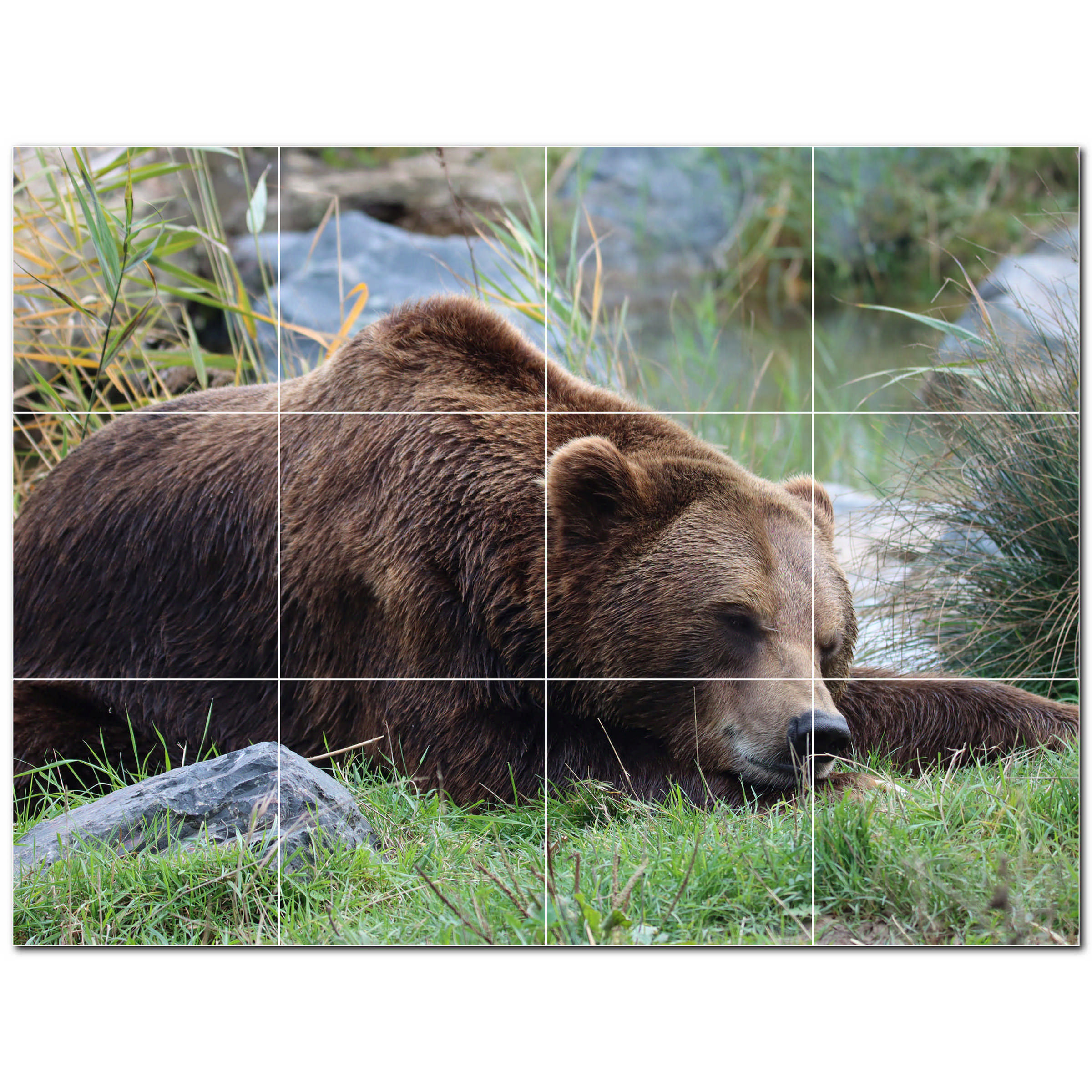 Picture-Tiles.com 32" x 24" Ceramic Bear Photo Decorative Mural Tile ...