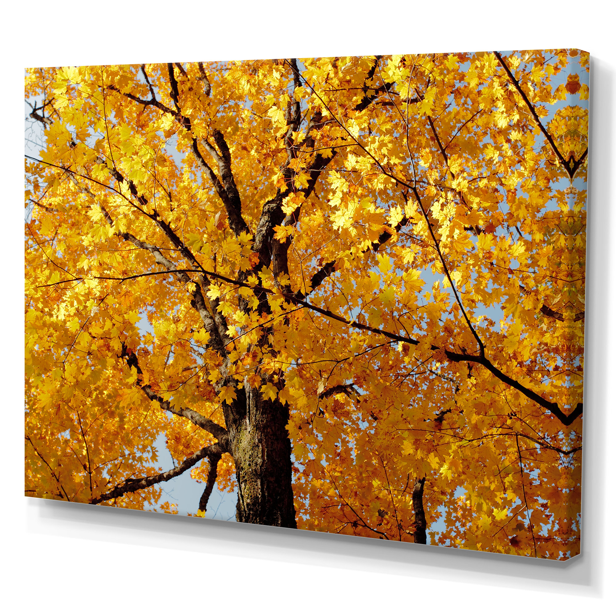 Winston Porter Autumn Maple Tree - Print on Canvas - Wayfair Canada