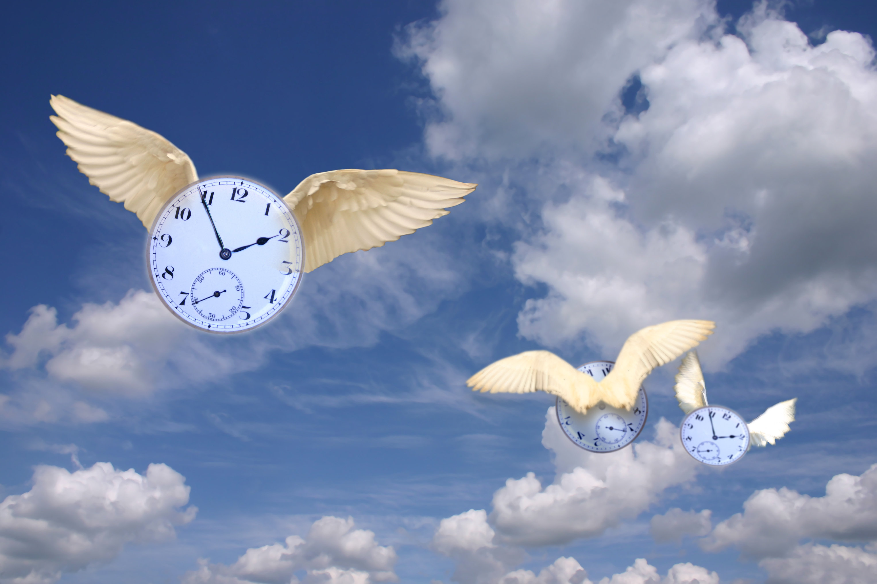 Happy Larry Time flying concept | Wayfair.ie