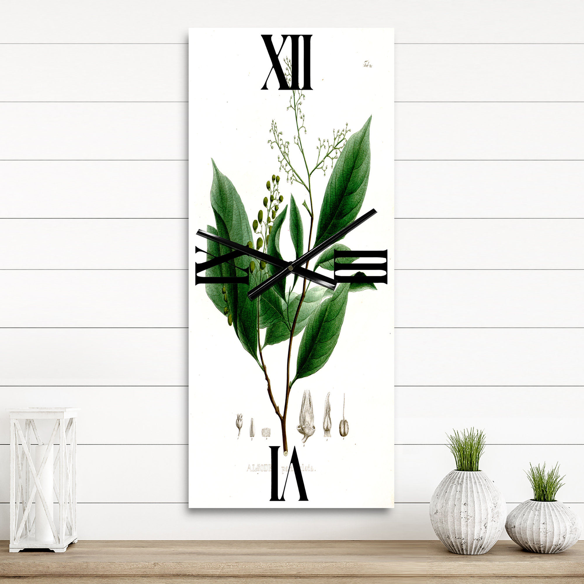 East Urban Home Vintage Brazilian Plant II Wall Clock | Wayfair