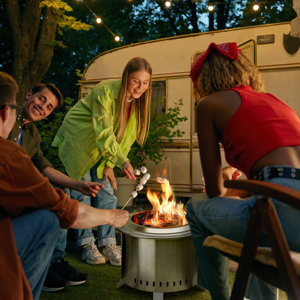 Arlmont & Co. Stainless Steel 22" Low Smoke Fire Pit,Outdoor Wood ...