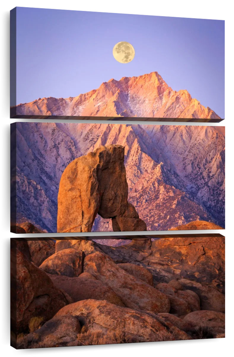 Ebern Designs Oberle Moonlit Granite Arch | Wayfair