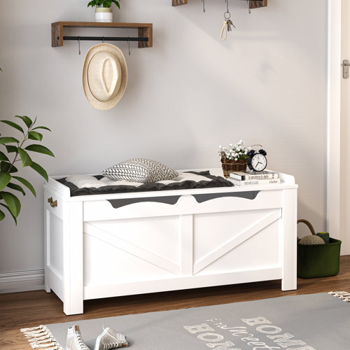 Wayfair | White Storage Trunks You'll Love in 2023