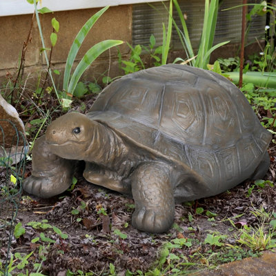 Bay Isle Home Abbygayle Turtle / Tortoise Animals Glass Fiber ...