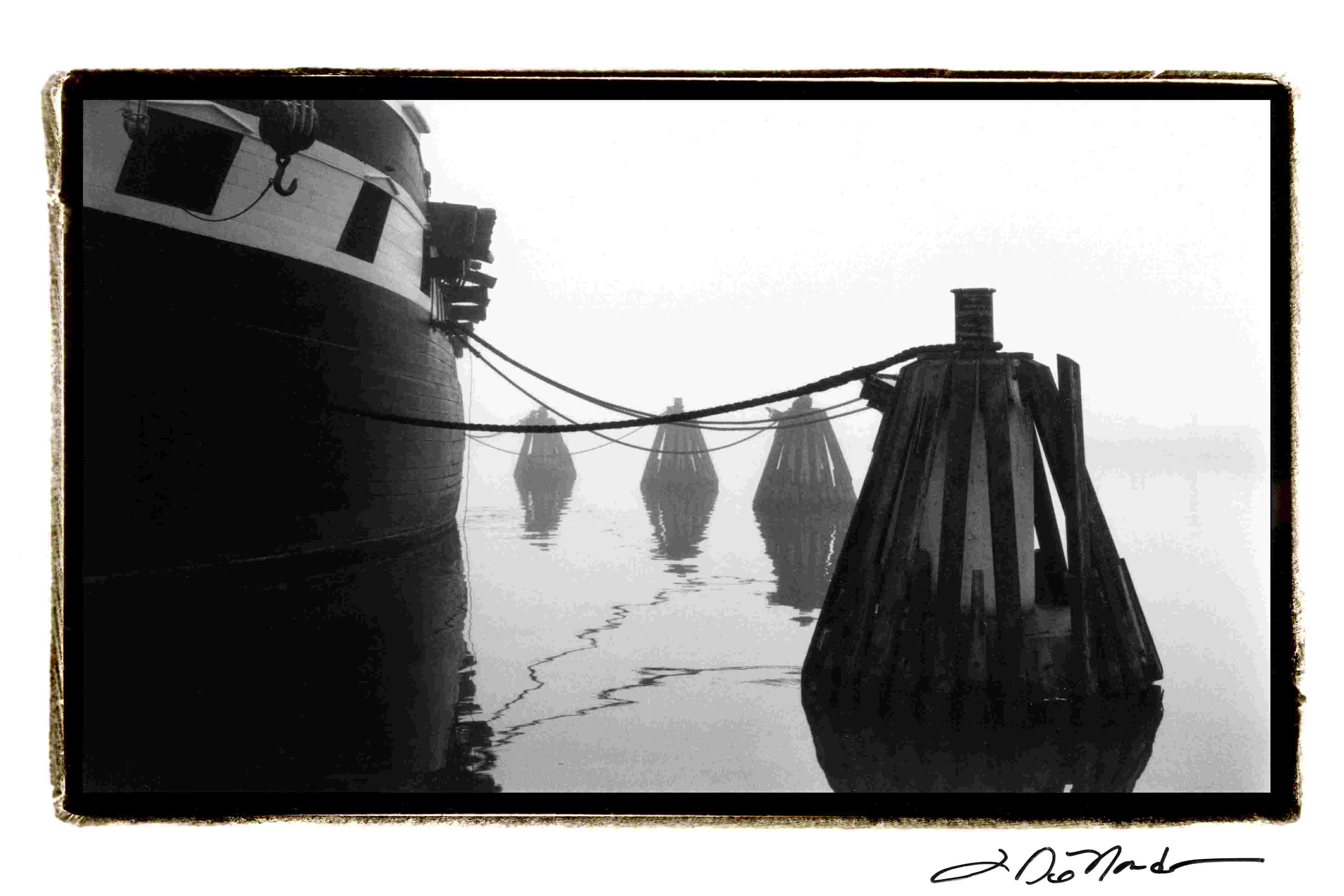 Longshore Tides Secure Mooring - Wayfair Canada