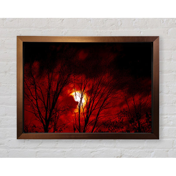 Bright Star Red Moonlight - Single Picture Frame Print | Wayfair.co.uk