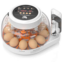 Brinsea Chicken Egg Incubator For Up To 50+ Eggs | Wayfair