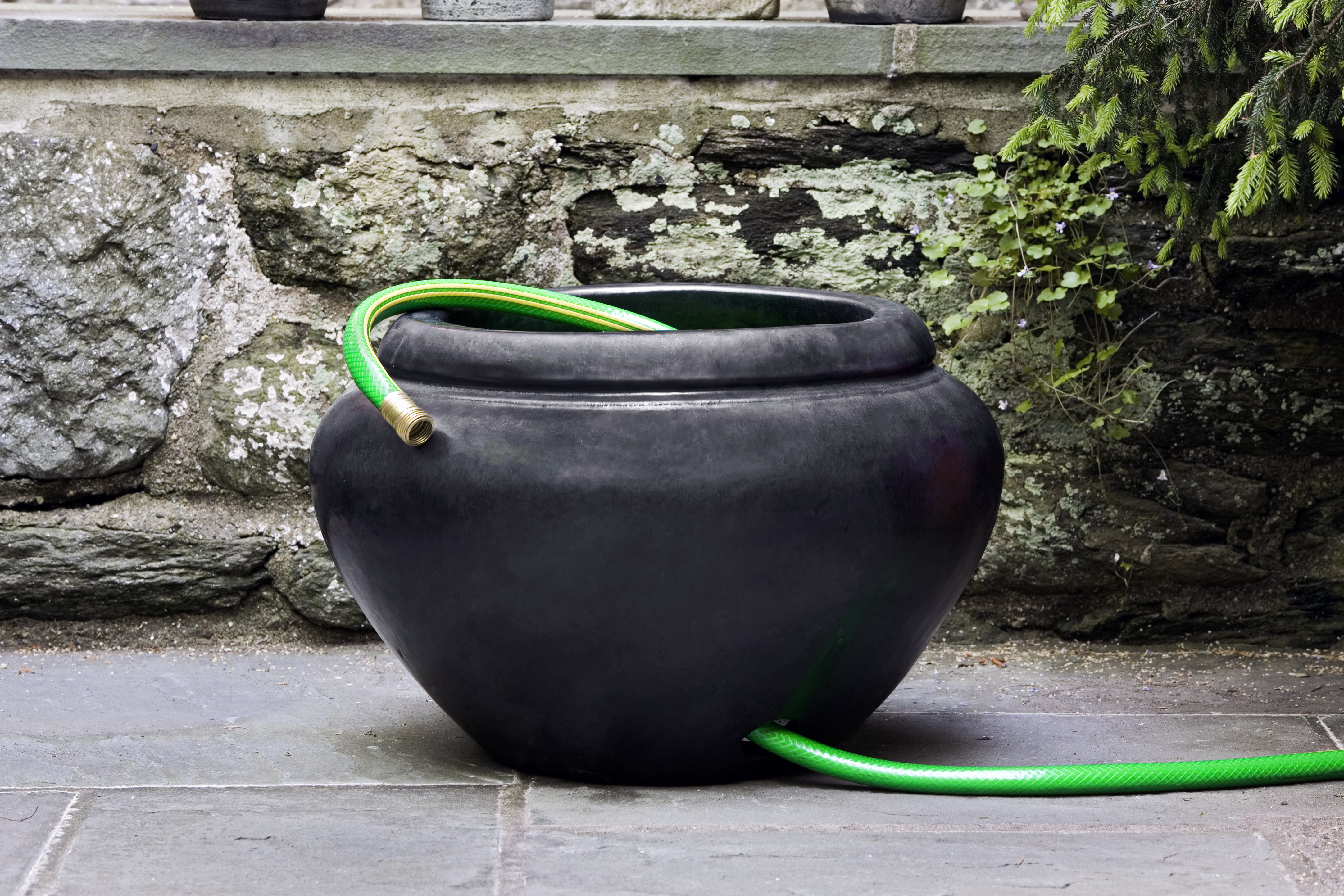 Campania International Hose Pot & Reviews | Wayfair