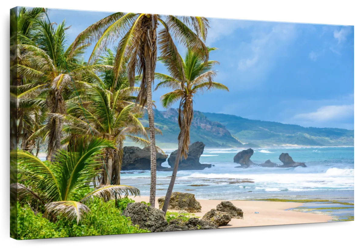 Beachcrest Home™ Gillard Bathsheba Gillard Coast | Wayfair