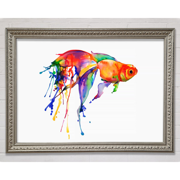 Highland Dunes Rainbow Silverfish Framed Print | Wayfair.co.uk