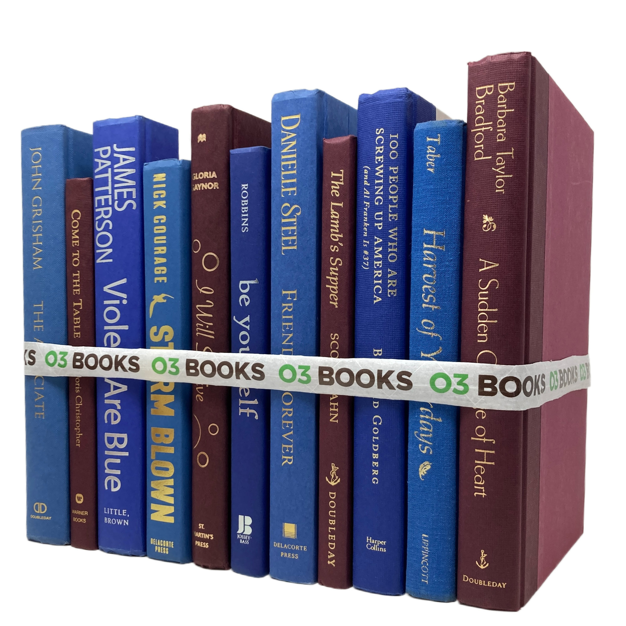 Red Barrel Studio Burgundy Tides Decorative Books Blue, Burgundy and ...