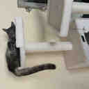 Armarkat 78" Premium Classic Real Wood Jackson Galaxy Approved Cat Tree ...