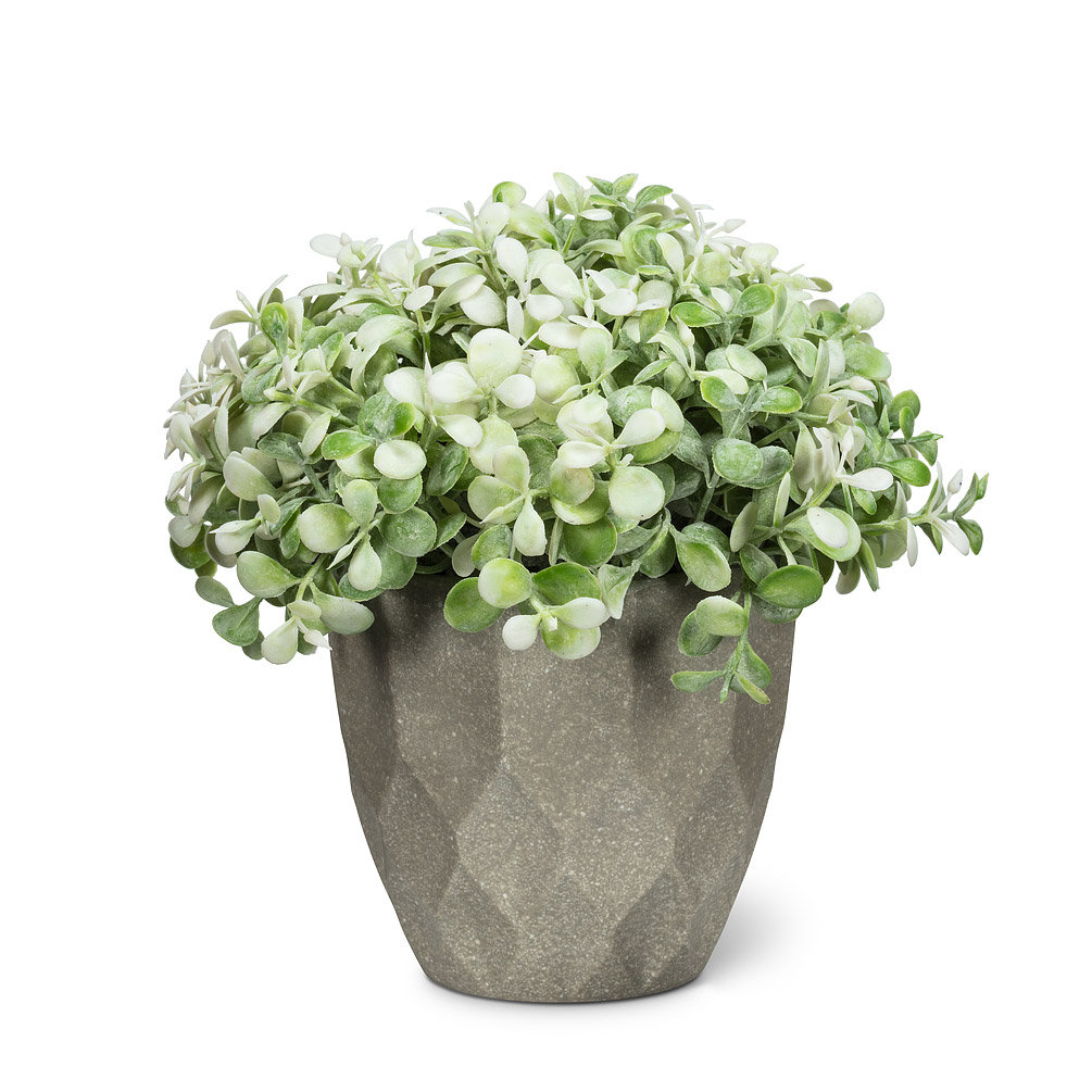 Primrue 2.5'' Artificial Flowering Plant in Planter | Wayfair