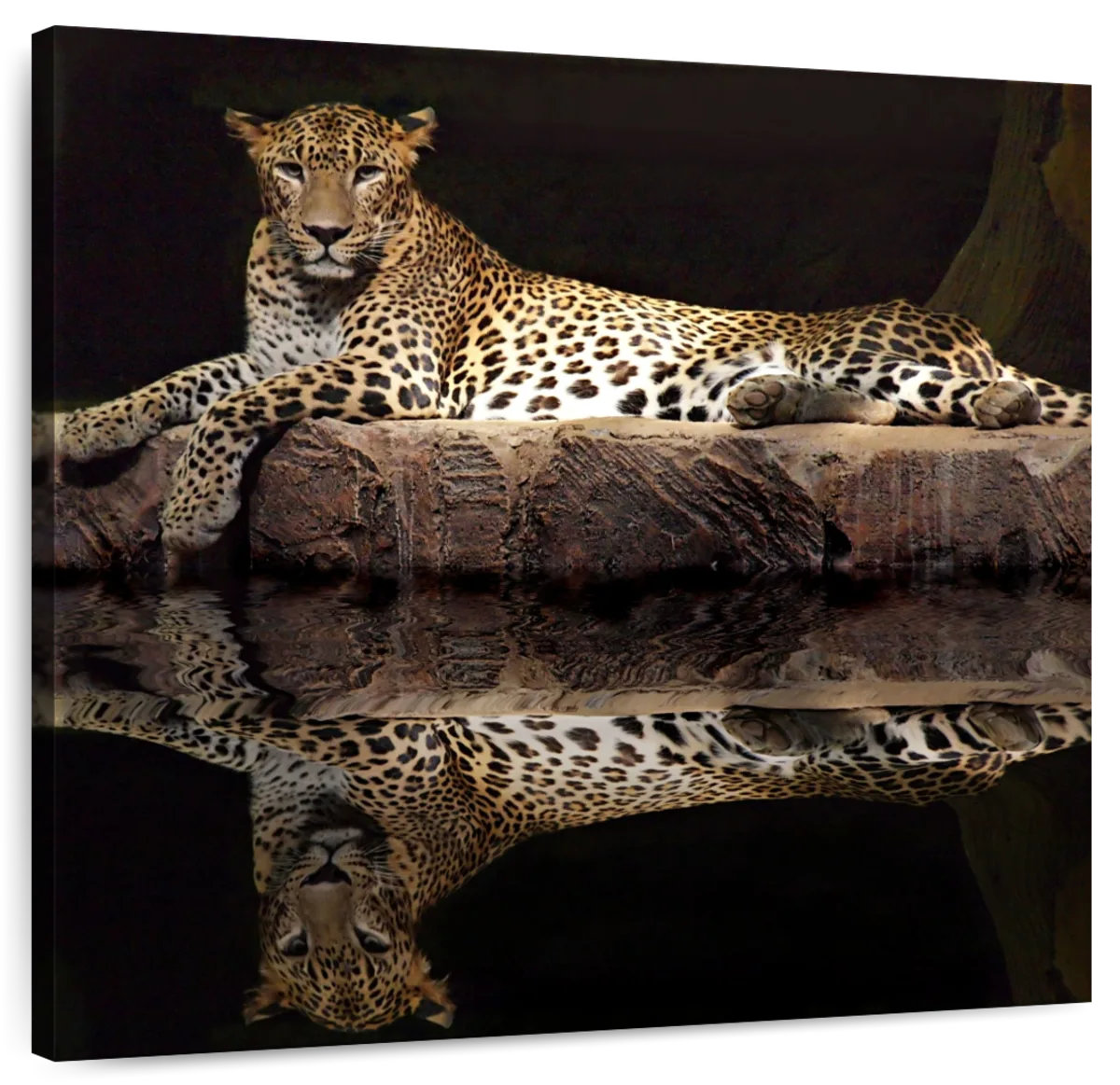 Ebern Designs Brampt Leopard Water Reflection - Wayfair Canada