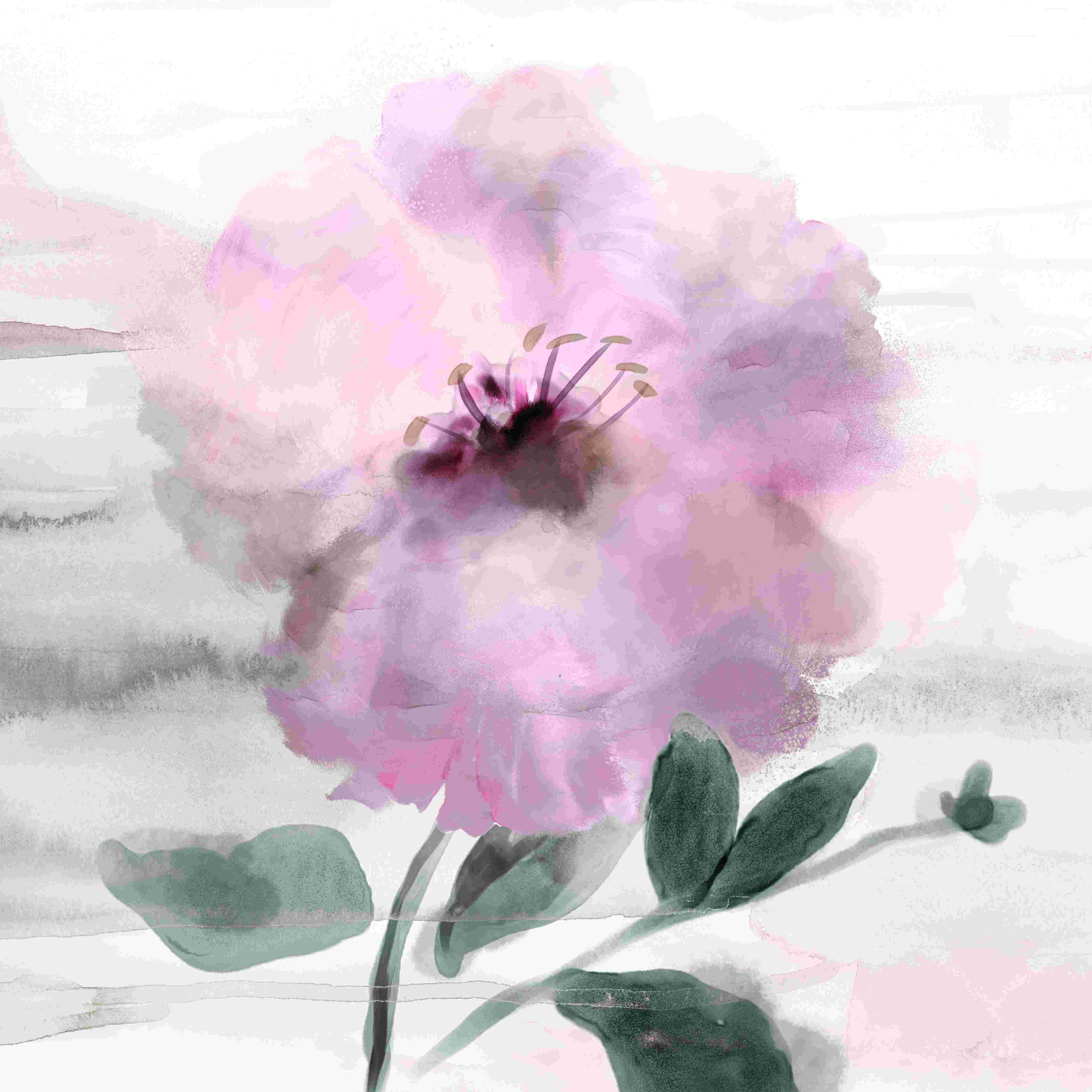 Winston Porter Fluffy Blush Bloom - Wayfair Canada