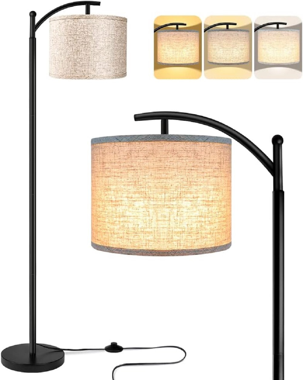 Latitude Run® Floor Lamp For Living Room With 3 Color Temperatures LED ...