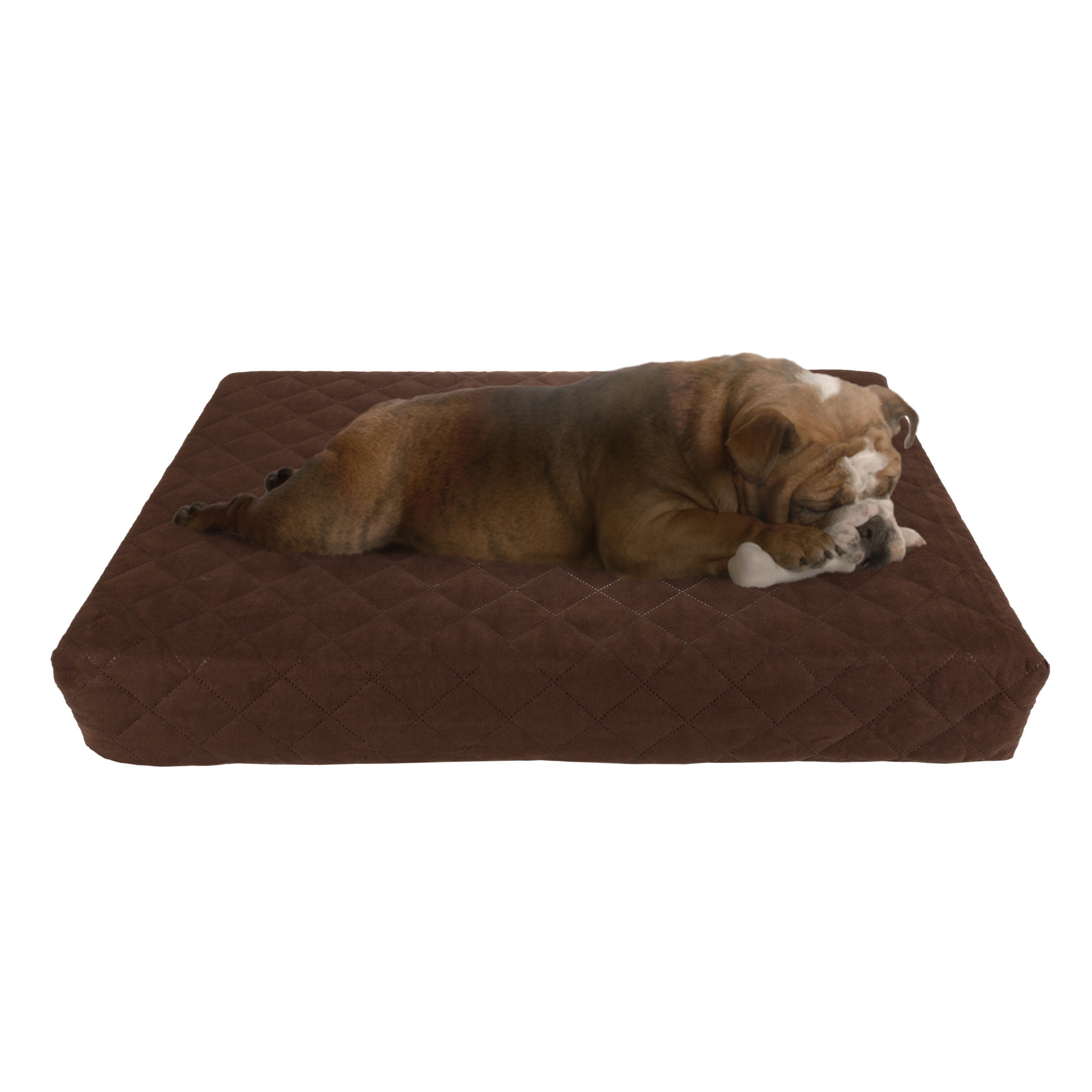 Tucker Murphy Pet™ Kasper PETMAKER Waterproof Dog Bed with Removable ...