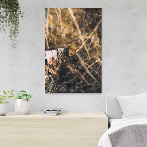 Gracie Oaks Print | Wayfair