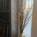 Lightshare Birch Willow Twig Lighted Trees & Branches & Reviews | Wayfair