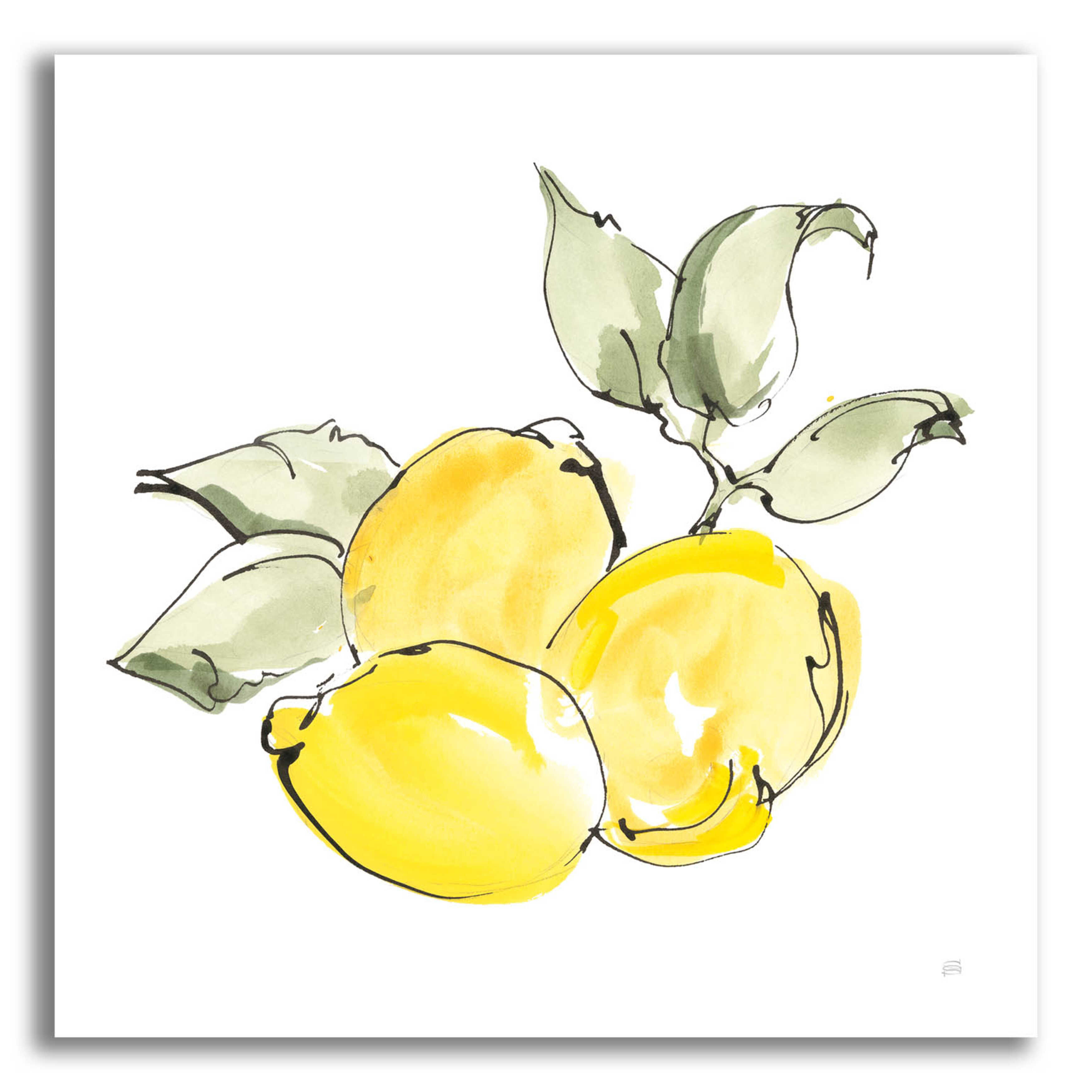 August Grove Epic Art 'Lemons II' By Chris Paschke, Acrylic Gla Lemons ...