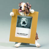 Breakwater Bay Manon Wood Picture Frame | Wayfair