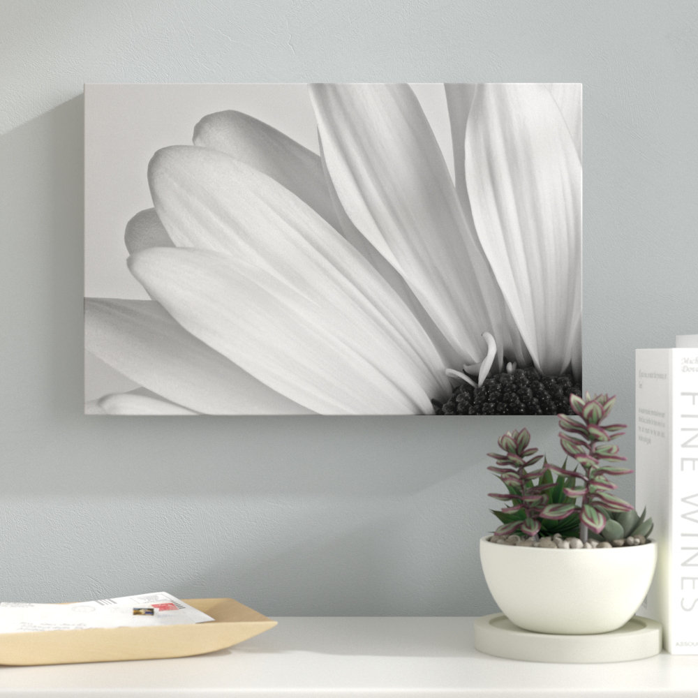 Ebern Designs 'White Daisy on White Background' Photographic Print on ...