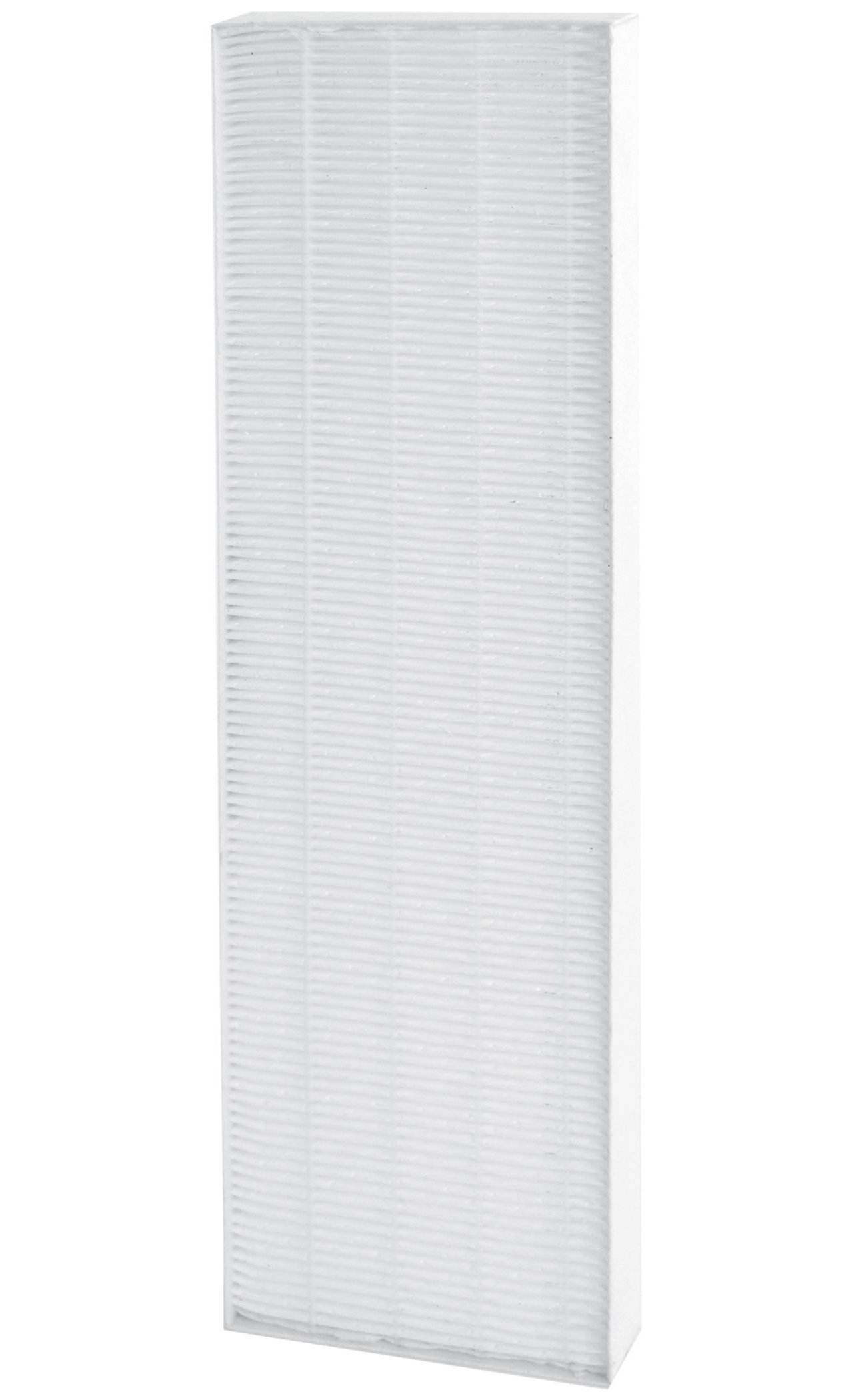 Fellowes Aeramax DX5 Filtertrue Hepa Aerasafe Antimicrobial Treatment ...