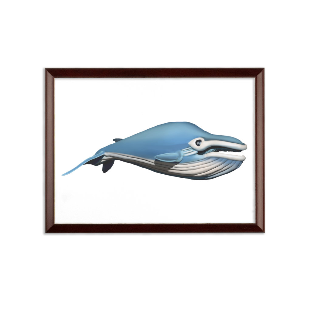 Breakwater Bay Whale - Picture Frame Graphic Art | Wayfair