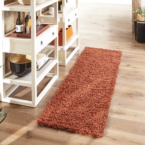 Orange Area Rugs | Wayfair
