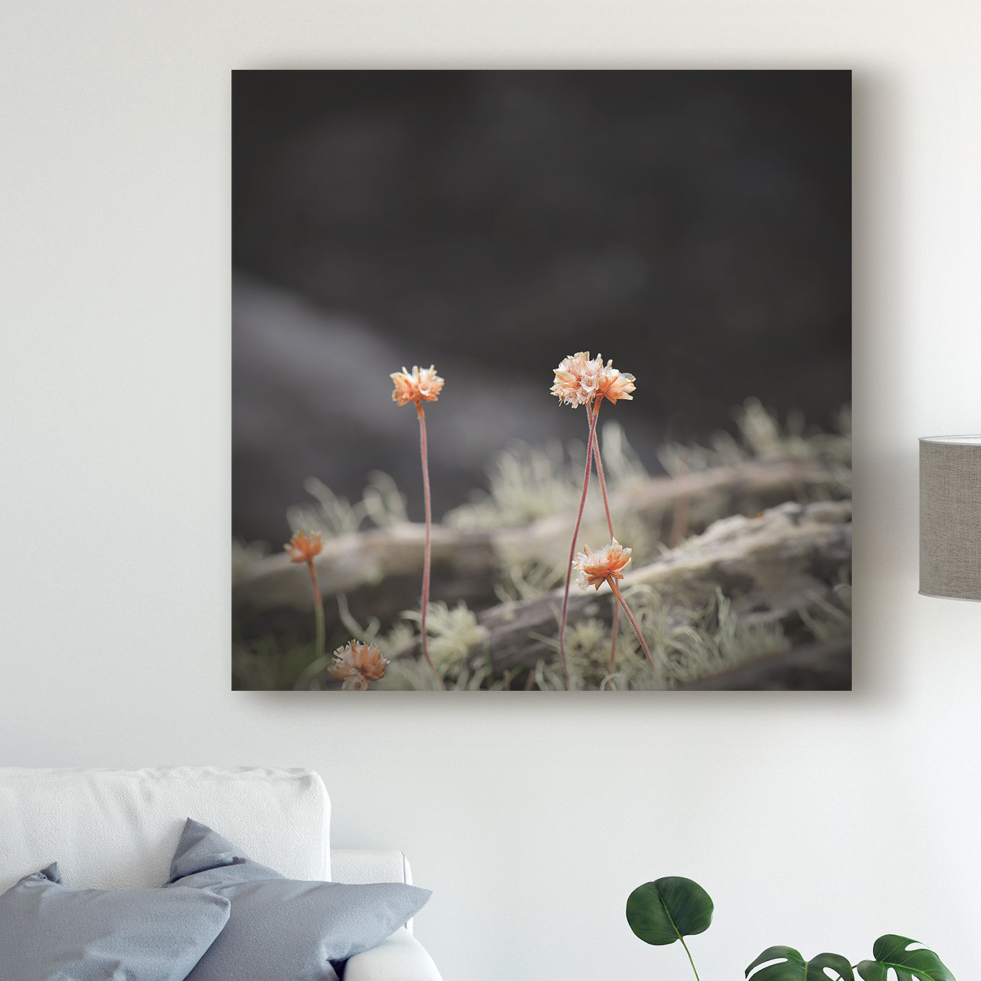 East Urban Home Fragile Nature by Christine Sainte-Laudy - Photograph ...