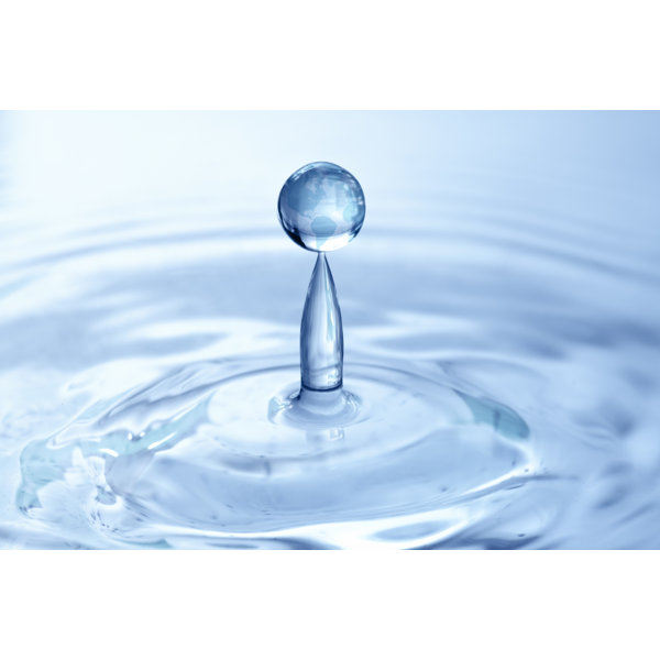 Breakwater Bay Earth In A Real Water Drop by DrRave - Print | Wayfair.co.uk