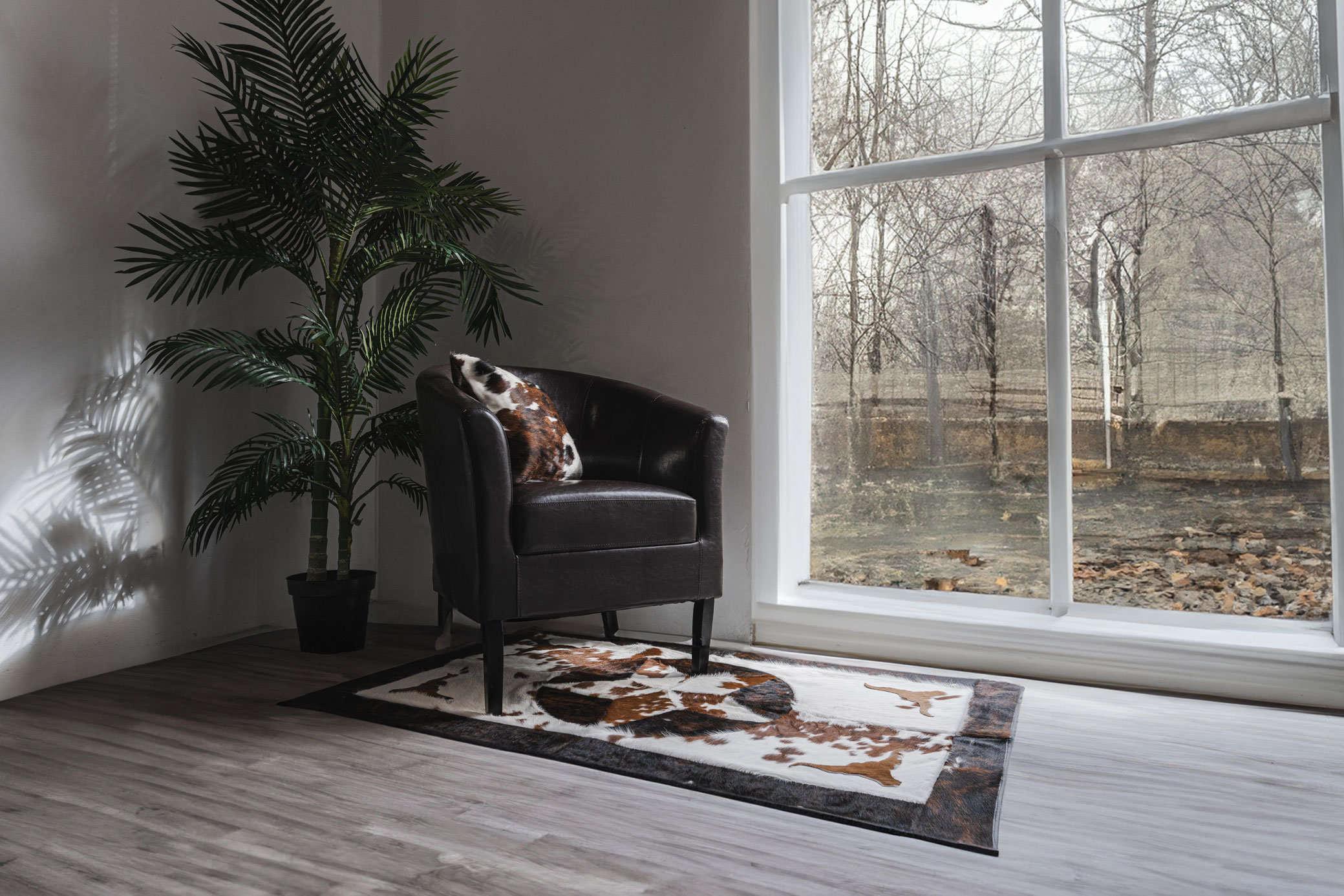 Foundry Select Tricolor Patchwork Cowhide Rug, Star & Longhorn ...