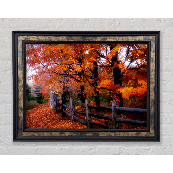 Bright Star Single Picture Frame Art Prints | Wayfair.co.uk