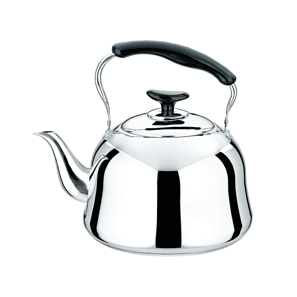 HAUS ROLAND Stainless Steel Kettle Set - Wayfair Canada