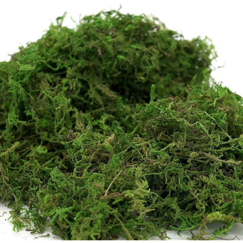 MAXAYA Artificial Moss, 16OZ Fake Moss For Crafts, Decorative Centerpie ...