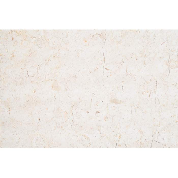 Stone & Tile Shoppe, Inc. 16" x 16" Limestone Stone Look Wall & Floor ...