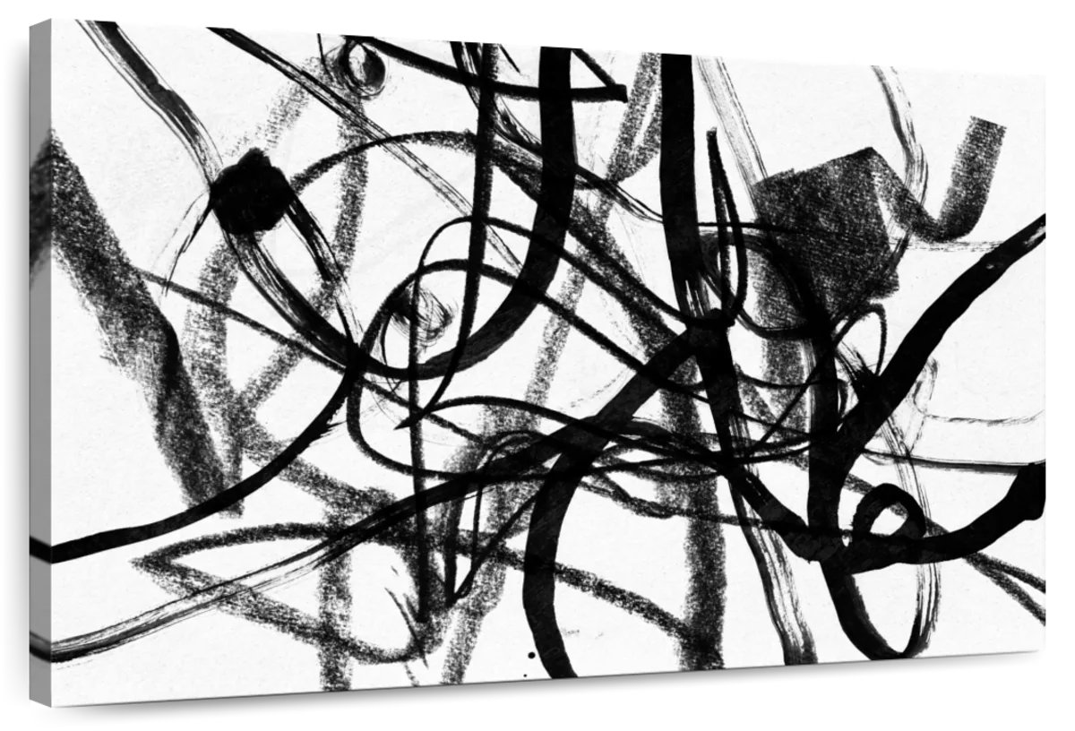 Wade Logan® Avery Wild Black Lines | Wayfair