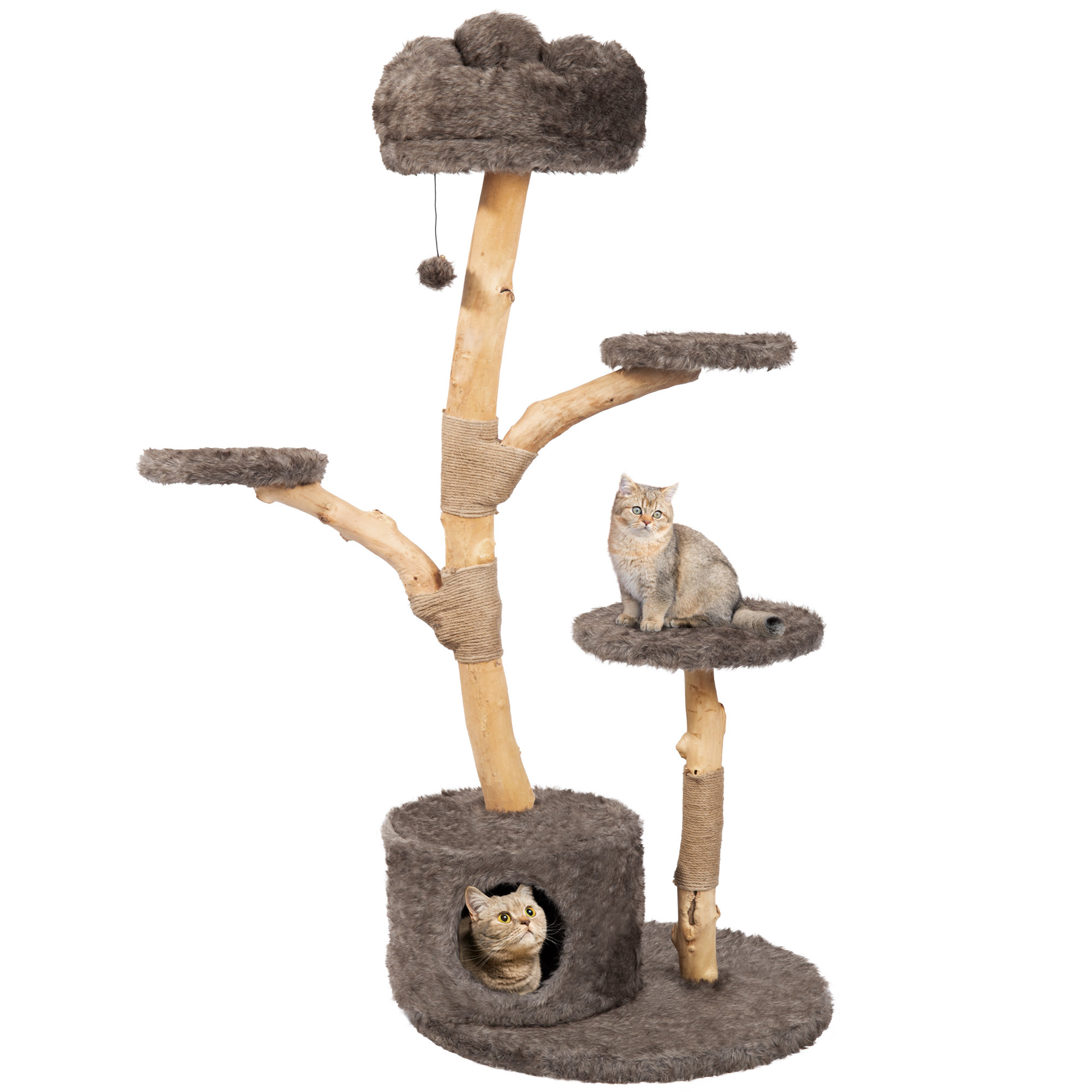 Corrigan Studio® Cat House For Indoors Cats | Wayfair