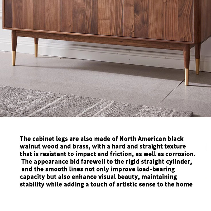 DICIXA Nordic Black Walnut Shoe Cabinet 24 Pair Shoe Storage | Wayfair