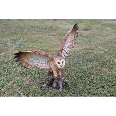 Hi-Line Gift Ltd. Barn Owl on Stump with Open Wings Statue & Reviews ...