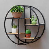 Circle Wall & Display Shelves You'll Love | Wayfair