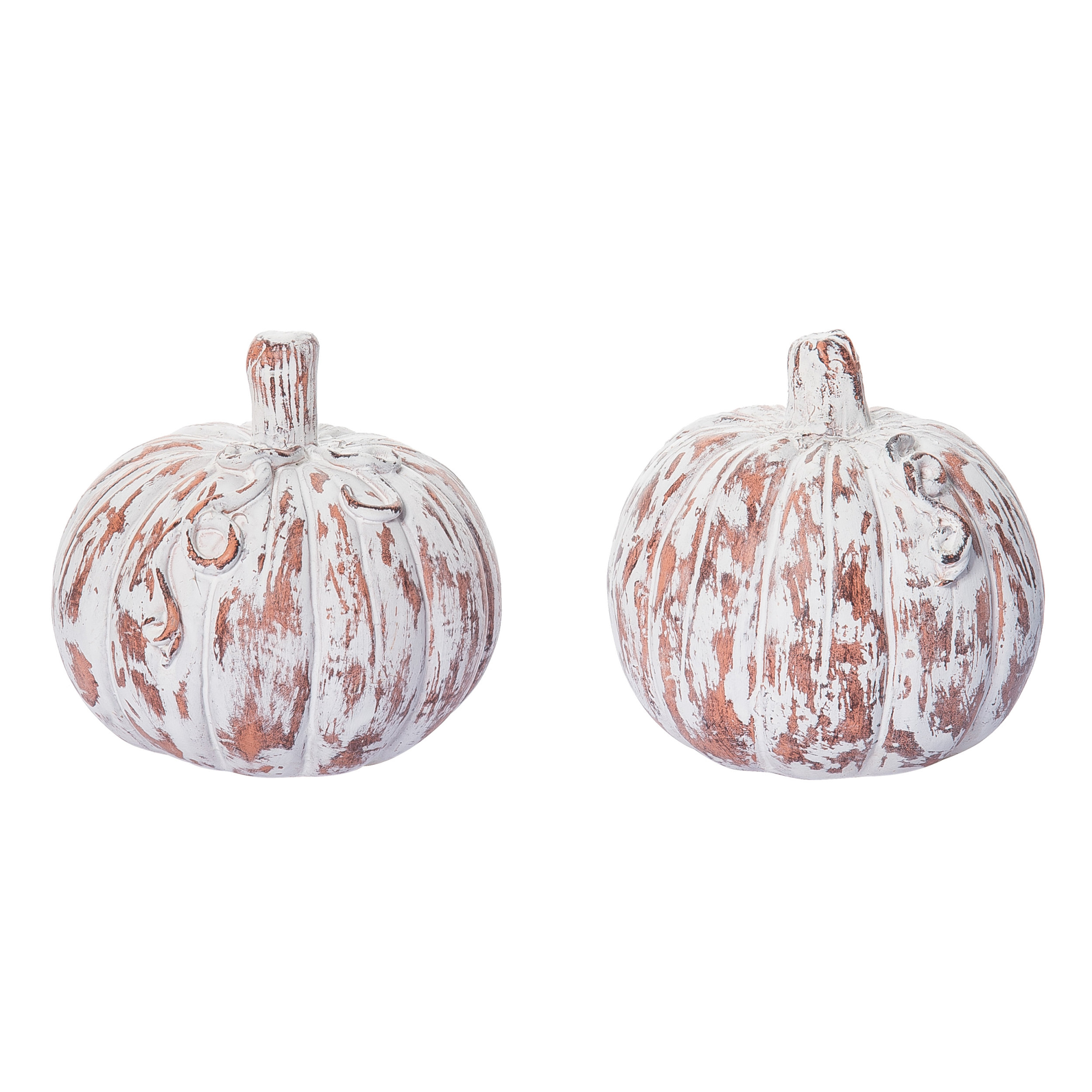 August Grove® Resin White Wash Pumpkin Set of 2 Fall/Harvest Home ...