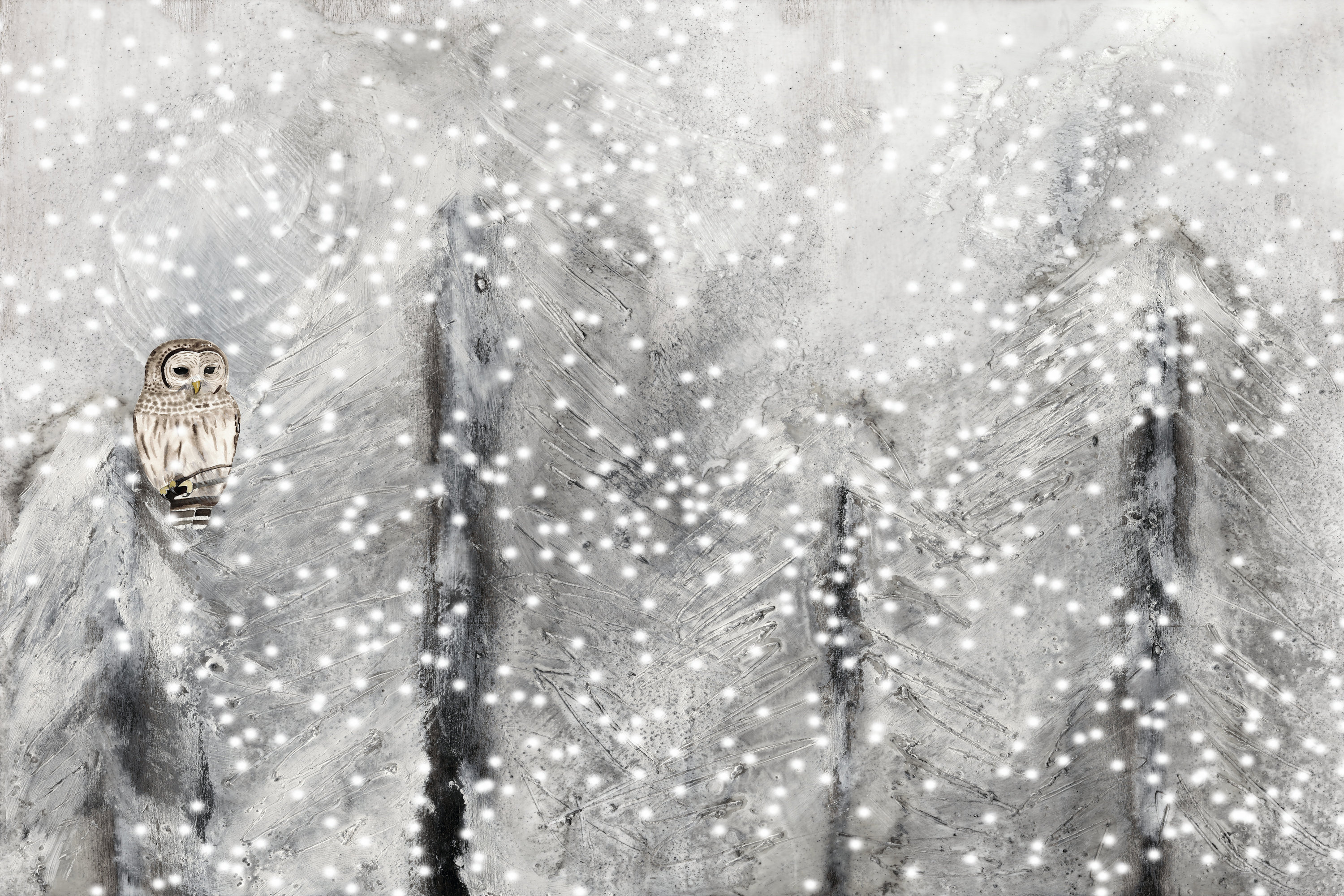 Millwood Pines Snowy Habitat II by Alicia Ludwig - Wrapped Canvas ...