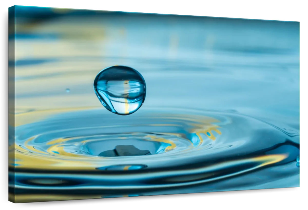 Millwood Pines Alvord Water Droplet Splash | Wayfair