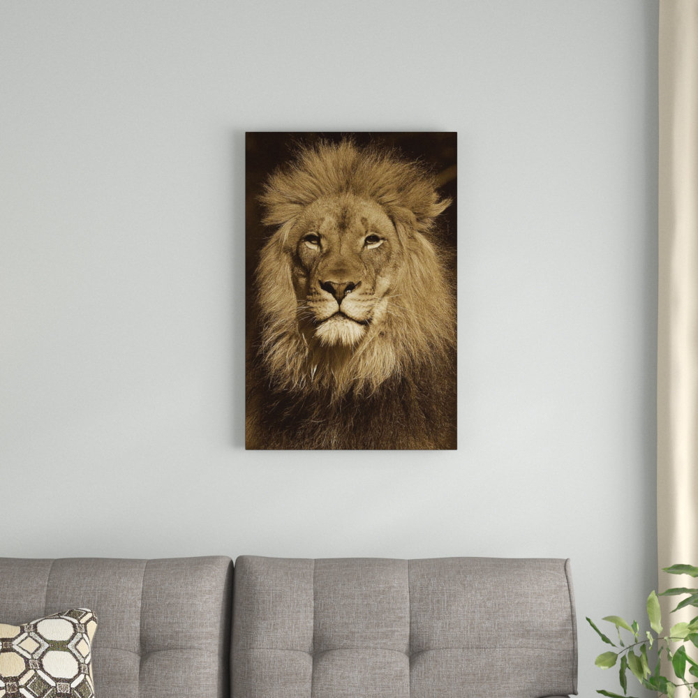 East Urban Home 'African Lion Male Portrait, Native to Africa ...