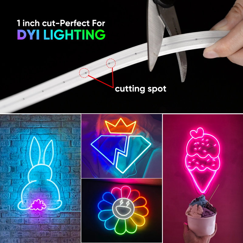 The Holiday Aisle® 16.5 ft RGB Rope Lights | Wayfair