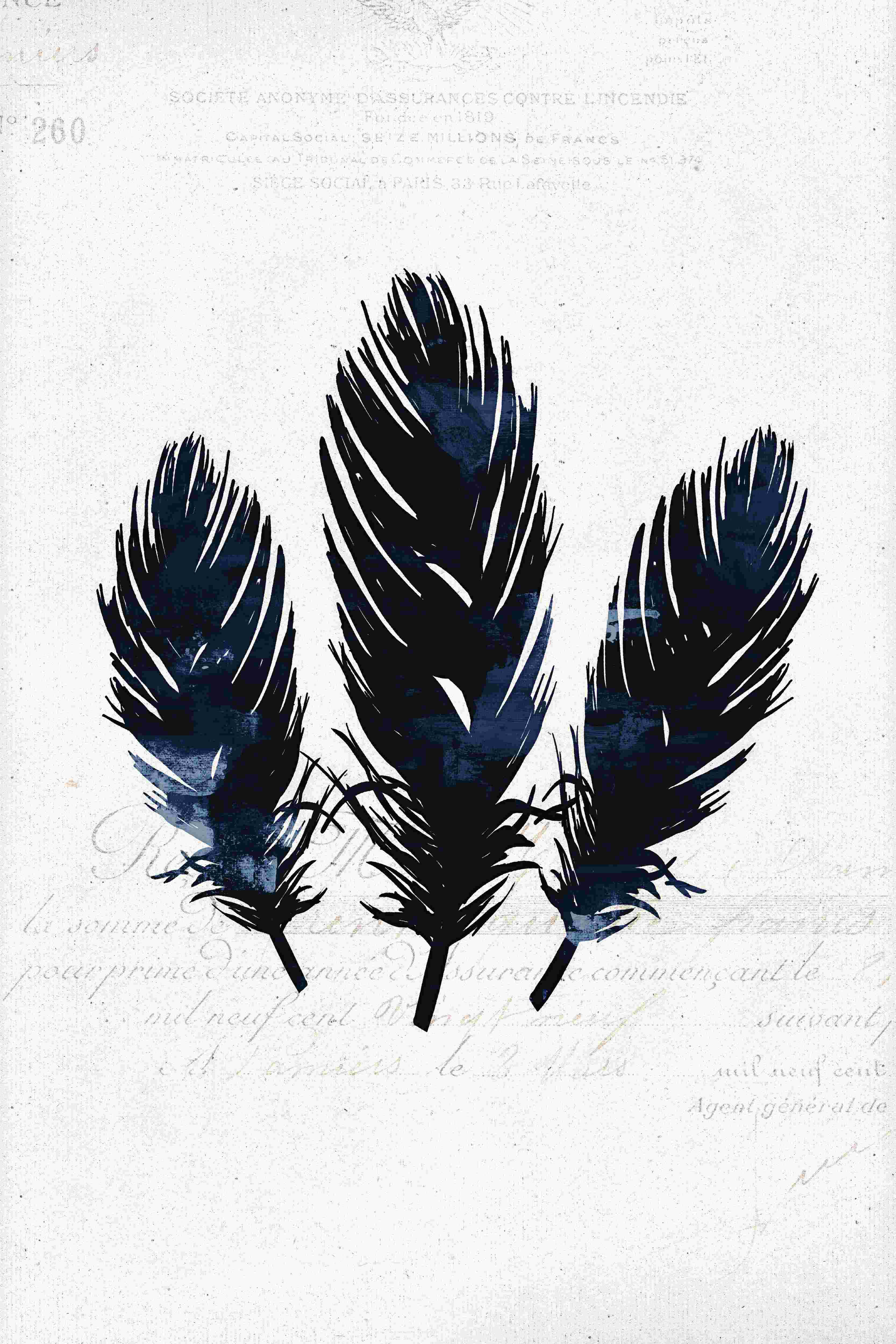 Dakota Fields Navy Feathers Combined - Wrapped Canvas Graphic Art | Wayfair