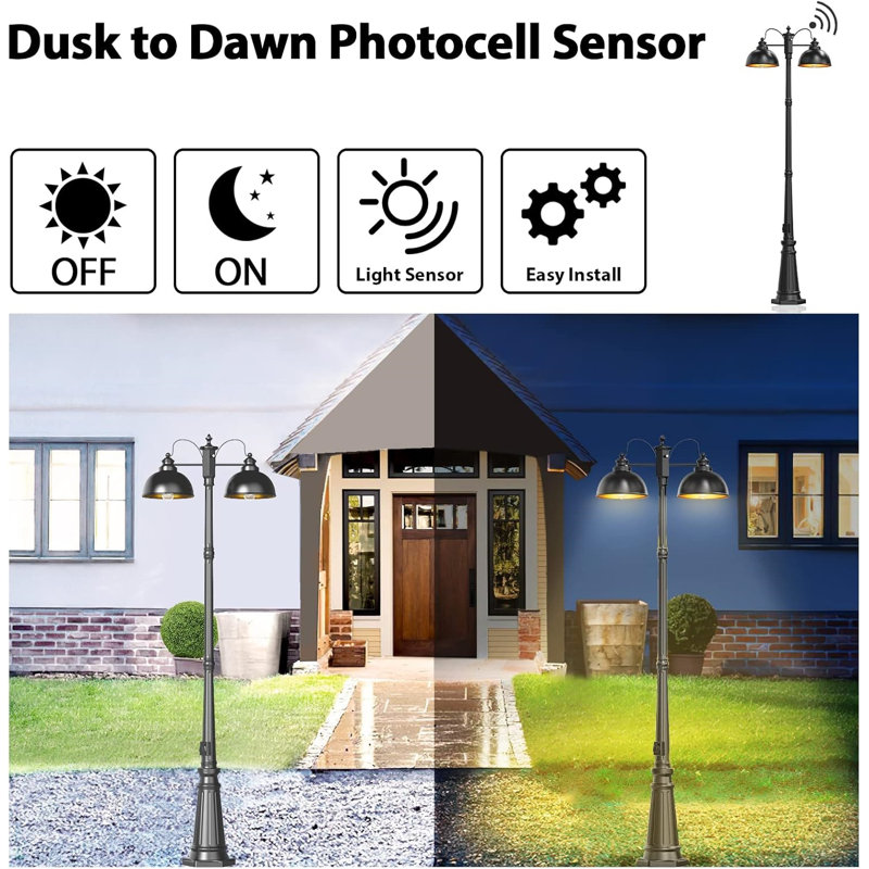 Canora Grey Cherfils Double-Head Farmhouse Outdoor Lamp Post Lights ...