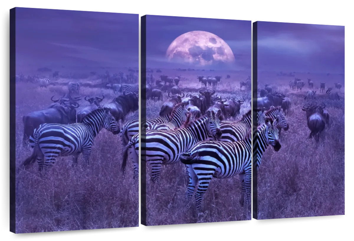 Ebern Designs Lunar Zebras | Wayfair