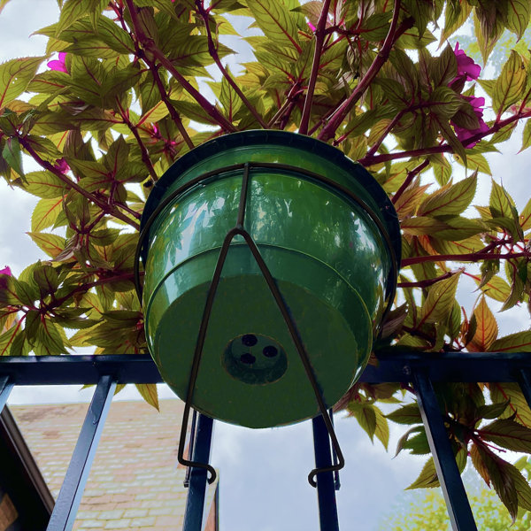 Bloem RailScapes Vertical Gardening Plant Clip For Thick Spindle ...